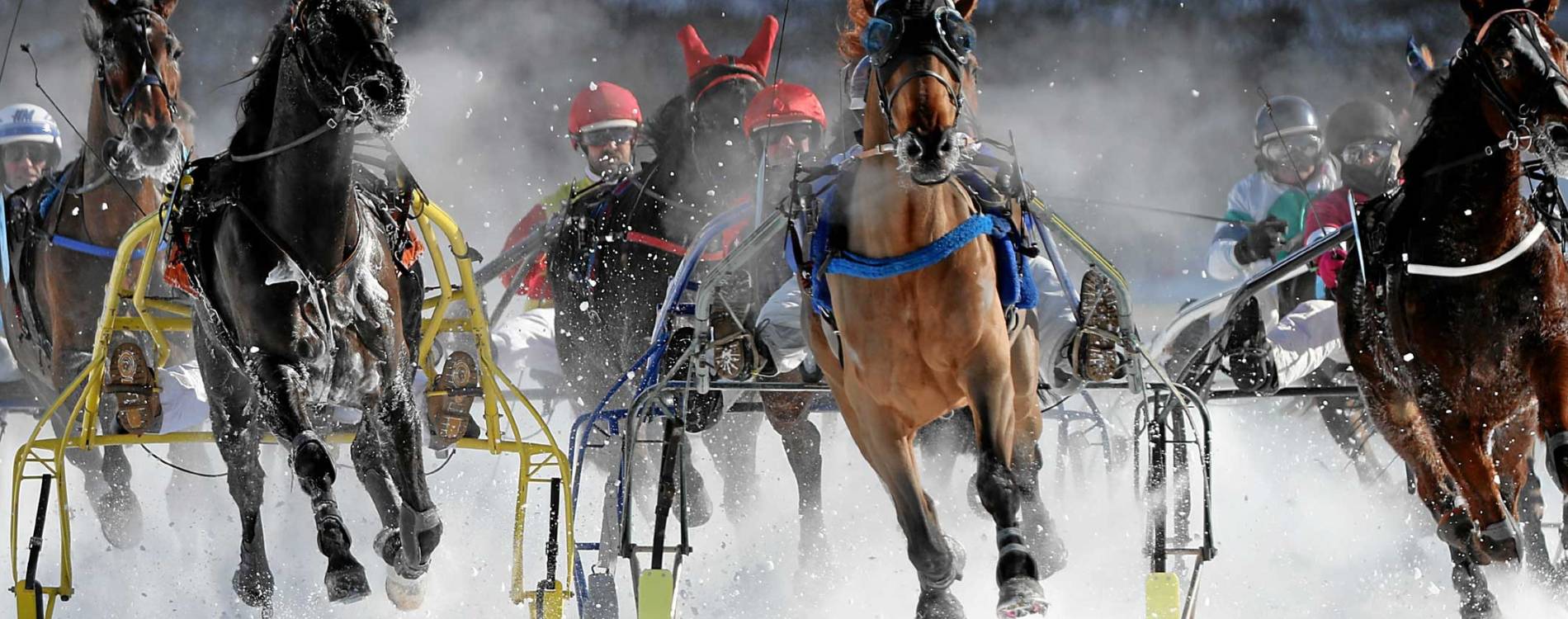 White Turf Tickets | 9 Feb 2025 | Rennverein St. Moritz | Koobit